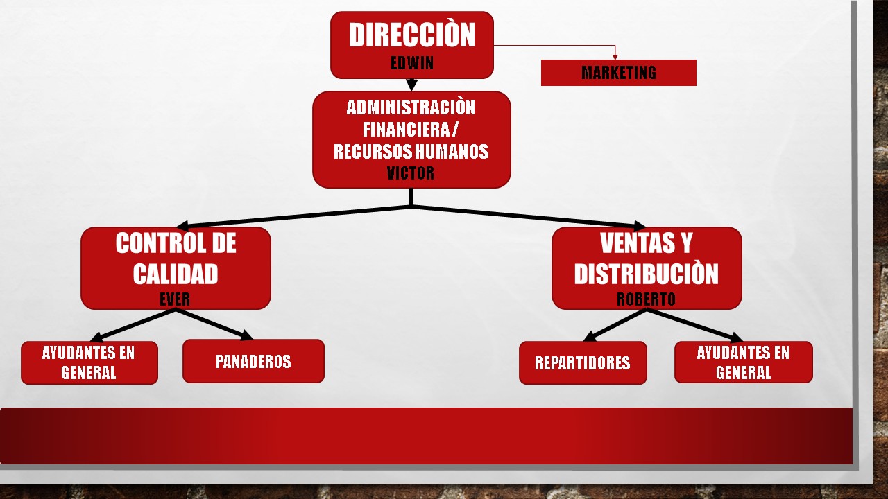 EDWIN ELIEL APARICIO JOSÉ